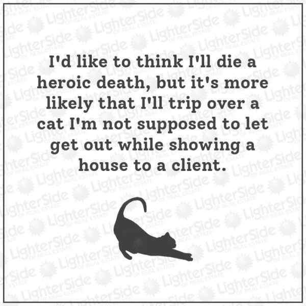 Funny Quotes to Make Real Estate Agents Laugh - Hooquest